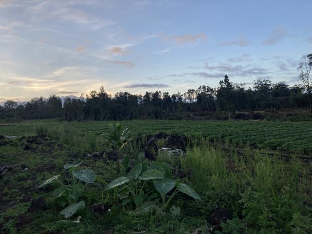 18 3931 Lot 158 Kopua Rd, Mountain View, HI 96771 | MLS #718227