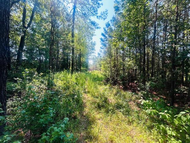 18.3 Acres Turkey Ln