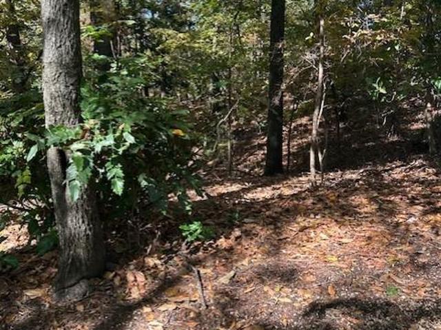 18 W Wesley Ridge, Atlanta, GA 30327 | MLS #7677