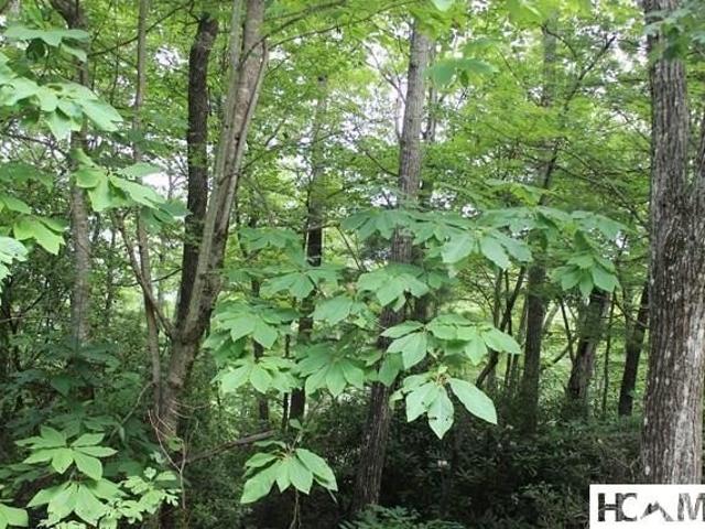 18 Whitewater Ridge Rd Lot 18, Sapphire, NC 28774