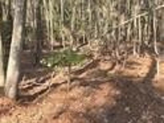18 Ac Pepper Creek Rd, Susan, VA 23163
