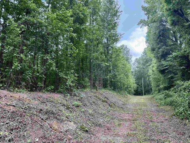 18 Acres Tbd Driffin Ln, Salters, SC 29590