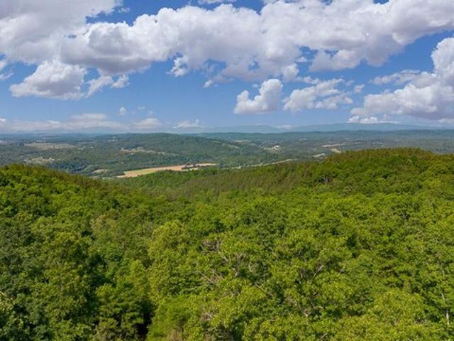 18 Acres Blake Rd, Buchanan, VA 24066