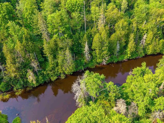 18 Acres Off Bobs Creek Truck Trail