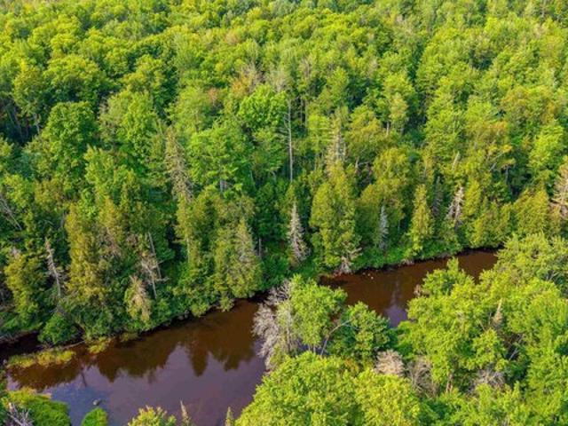 18 Acres off Bobs Creek Truck Trl, Gwinn, MI 49841