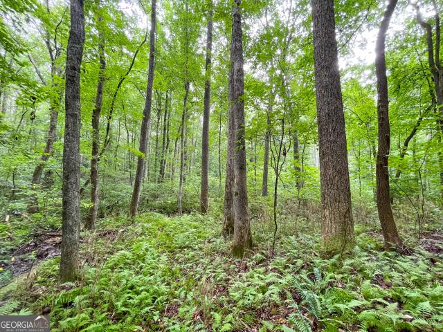 18 +/ Acres on Pope Lake Road
