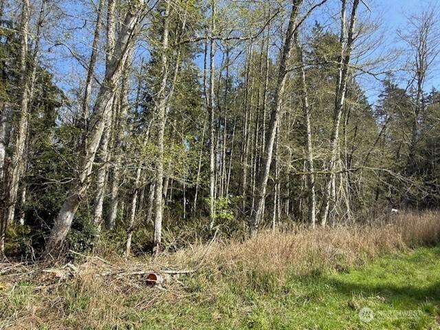 18 Ander Park Rd, Freeland, WA 98249 | MLS #2501