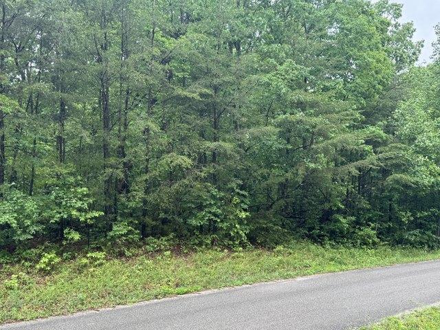 18 Ave, Gruetli Laager, TN 37339