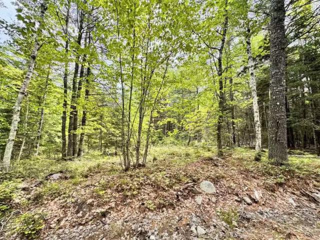 18 b Back Pasture Lane, Blue Hill, ME 04614 648577447
