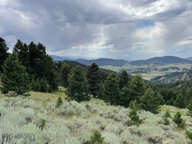 18 Blue Camas Rd, Bozeman, MT 59715