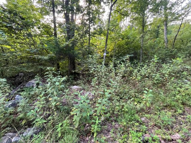 18 Buck Creek Circle