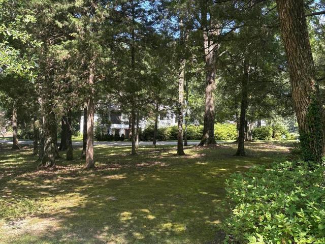 18 Cedars