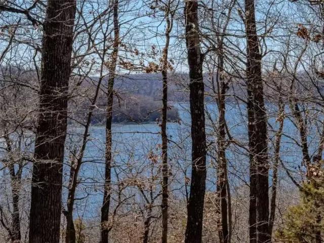 18 COUNTY ROAD 1522, EUREKA SPRINGS, AR 72632 Vacant Land For.
