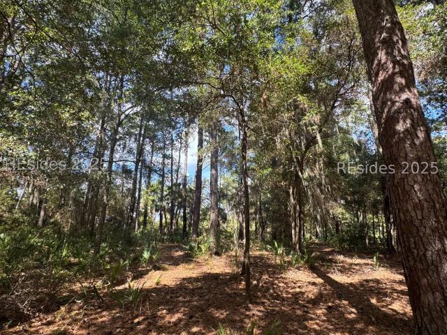18 Governors Point, Daufuskie Island, SC 29915 | MLS #500760