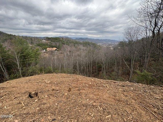 18 Hikers Path Ln, Sevierville, TN 37876