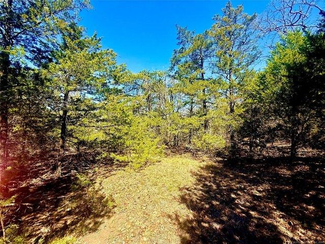 18 Lakecrest Dr, Canadian, OK 74425