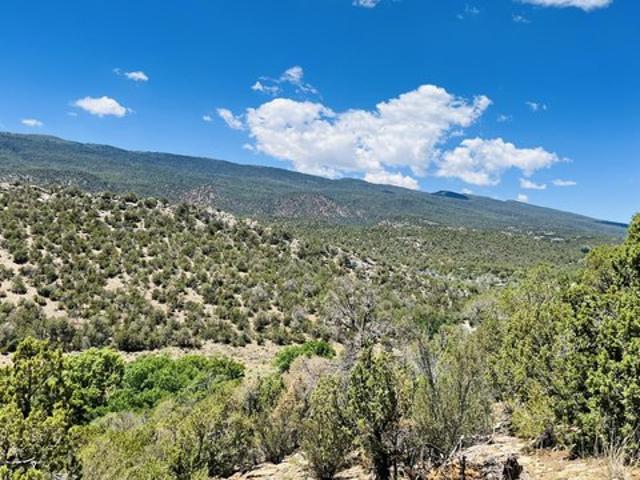 18 Larry Ln, Cedar Crest, NM 87008