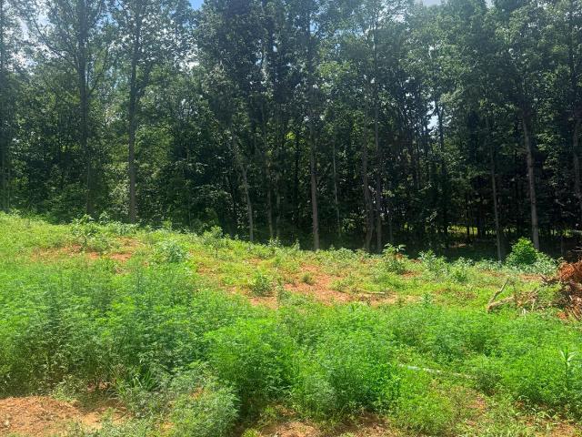 18 Lot Oriole Court