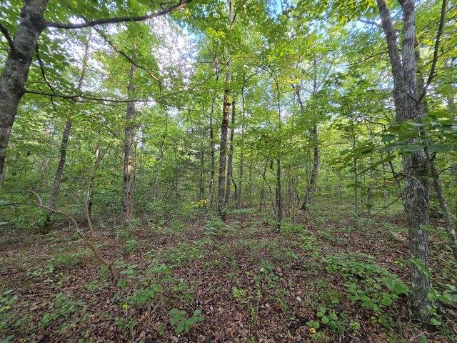 18 Meyers Rd, Altamont, TN 37301