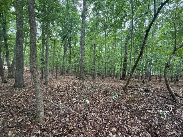 18 Point Rd Lot Saunders, Huddleston, VA 24104