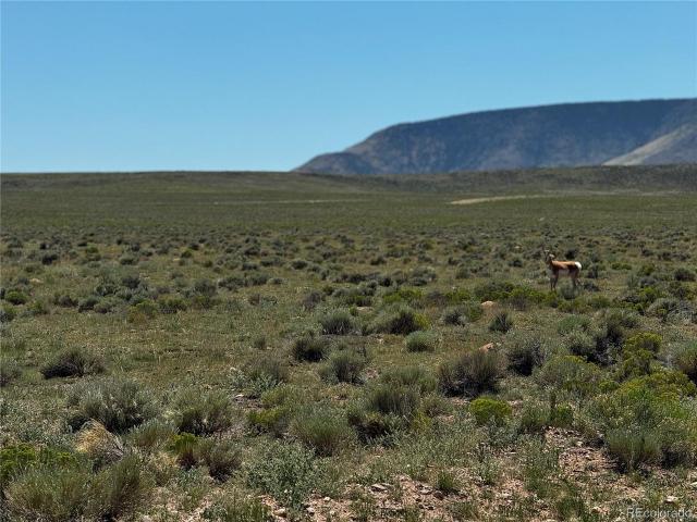 18 Russ Rd, Sanford, CO 81151 | MLS #8374