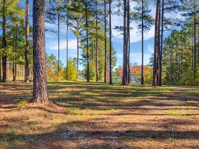18 S Pointe Cove, Lincolnton, GA 30817 | MLS #100587