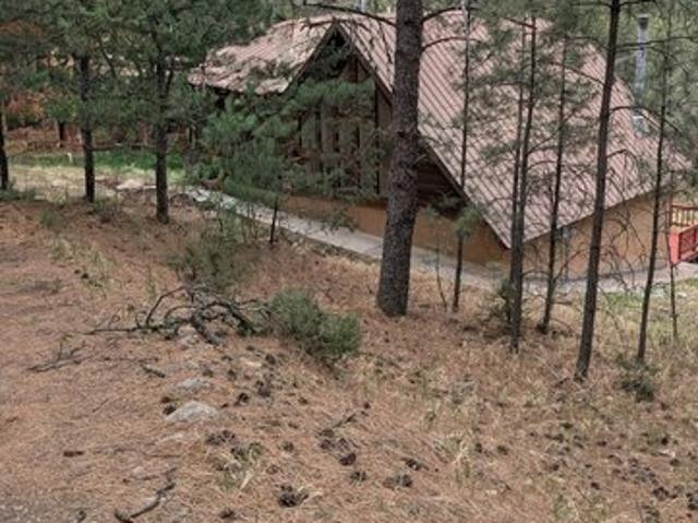 18 Silver Fox Trl, Mayhill, NM 88339