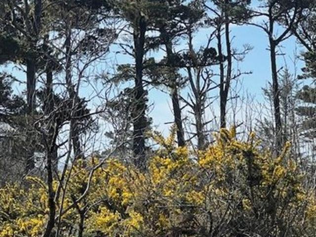 18th St SW, Bandon, OR 97411