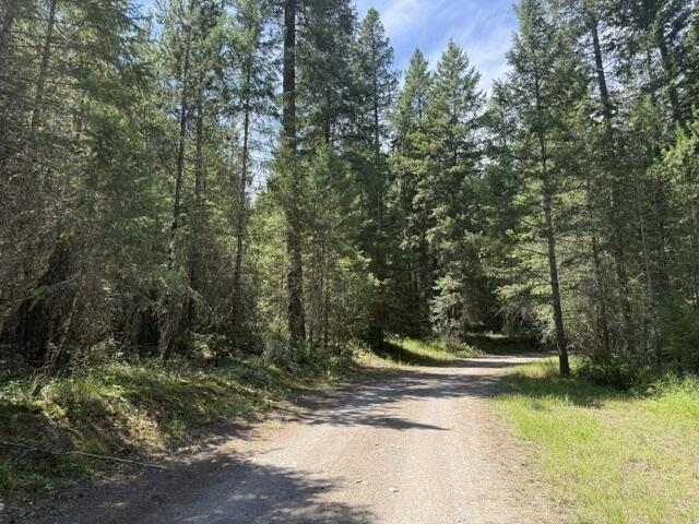 18XX Dry Creek Rd, Kettle Falls, WA 99141