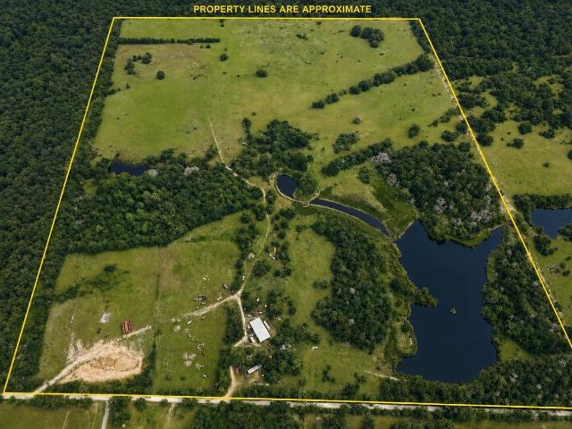 19046 County Road 124