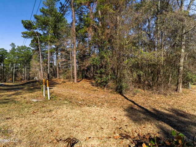 1906 S 28th Ave Ext. Hattiesburg, MS 39402 | MLS #4136 | Compass
