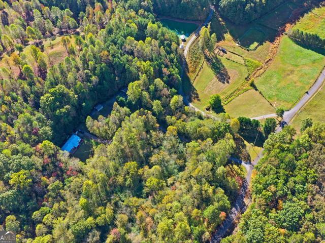 1907 John Call Rd, Ellijay, GA 30536 | MLS #10629