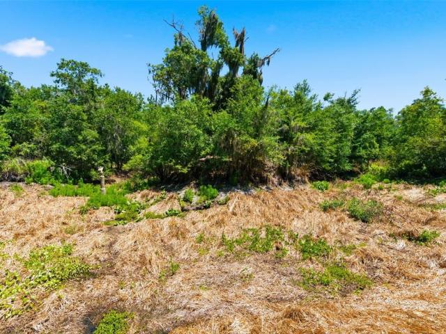 19084 Red Bird Ln, Unit LOT 5, Lithia, FL 33547 | MLS #TB8499