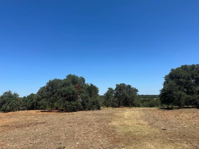 1900 County Road 284