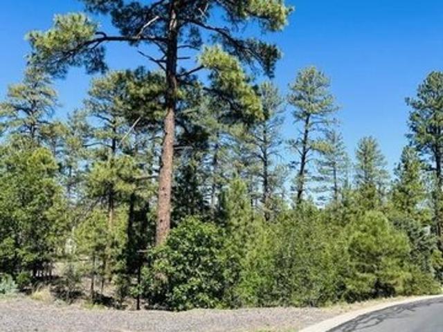 1900 S Silvertree Ln, Show Low, AZ 85901