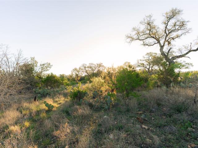 1901 Oak Grove Rd, San Marcos, TX 78666 | MLS #9802