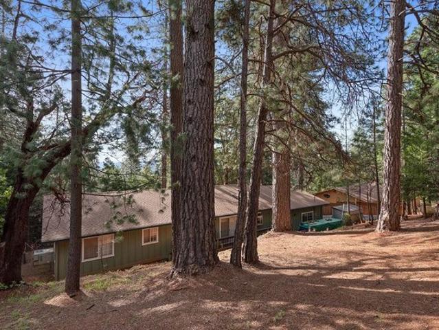19021 N Mace Dr, Pioneer, CA 95666