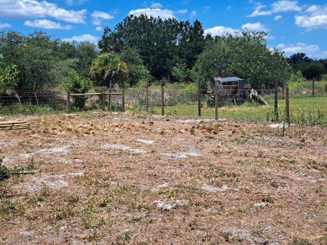 19025 NW 272nd St, Okeechobee, FL 34972 | MLS #B26010