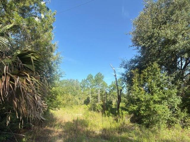19037 Parakeet Rd, Brooksville, FL 34614