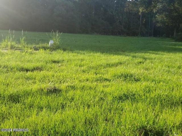 190 Athens Ln, Crowley, LA 70526 | MLS #24004 | Compass