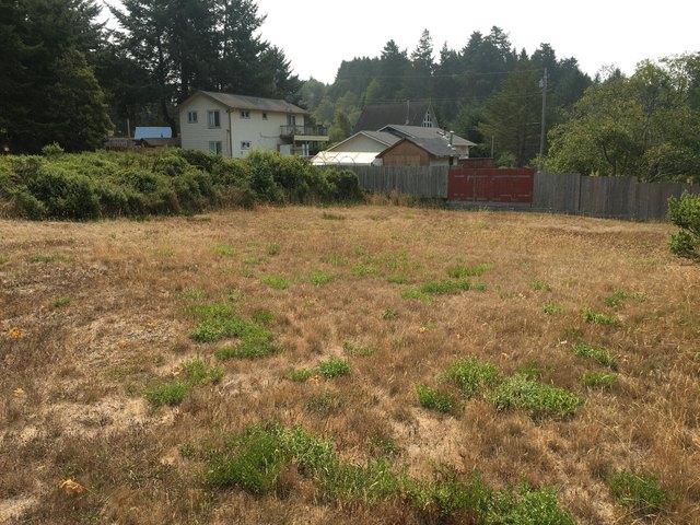 190 Debbie Ln, Whitethorn, CA 95589