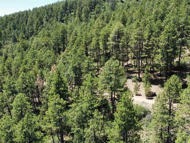190 Jackalope Dr, Bayfield, CO 81122