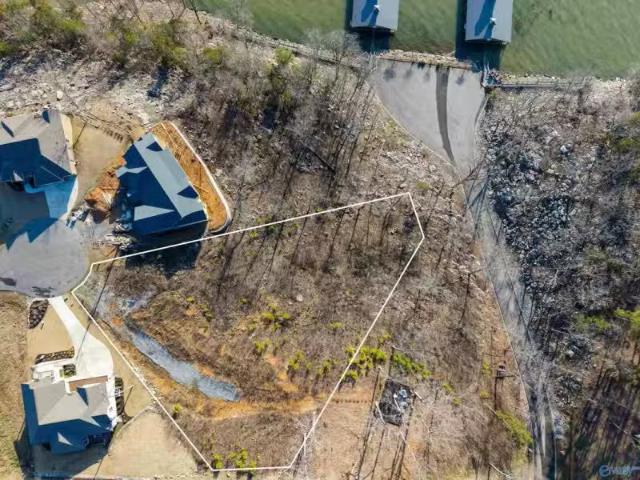 190 RYAN DR, GUNTERSVILLE, AL 35976 Vacant Land For Sale MLS#.