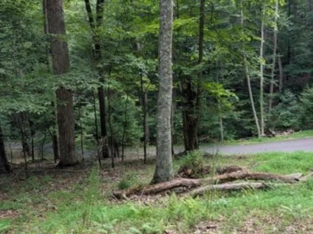 190 Valley Crest Dr, Blairsville, GA 30512