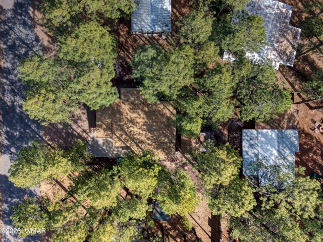 1915 Sierra Pine Loop