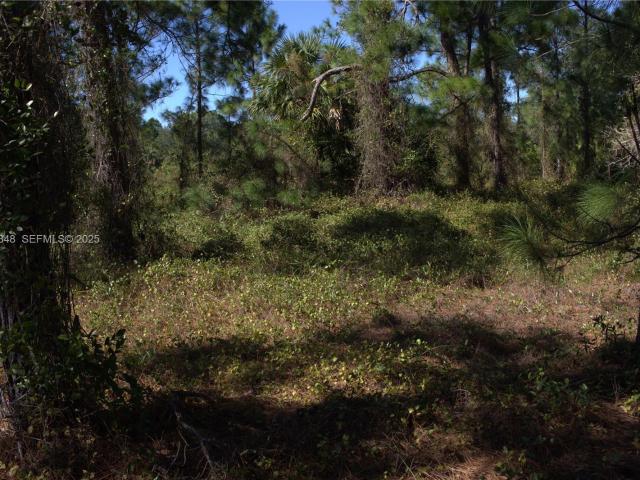1917 Moore Ave, Lehigh Acres, FL 33972 | MLS #A11917