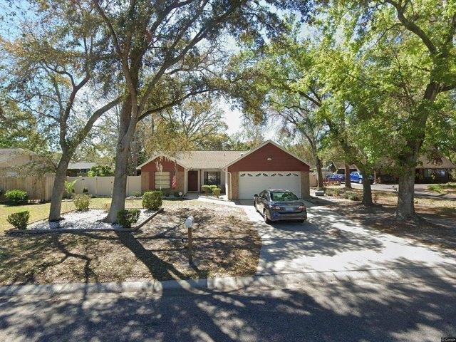 1917 Dove Field Pl, Brandon, FL 33510