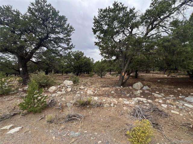 1917 Lone Pine Way