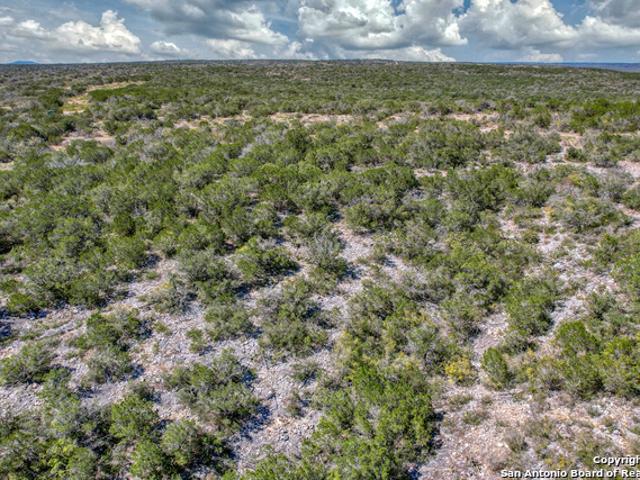 1917 Ranch Road 3348