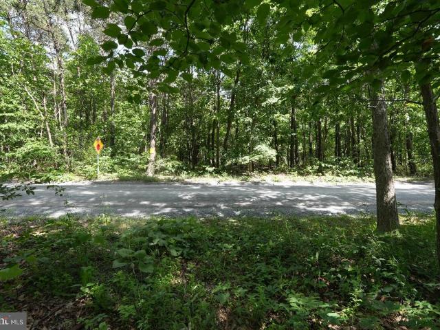 1917 S Timber Ridge
